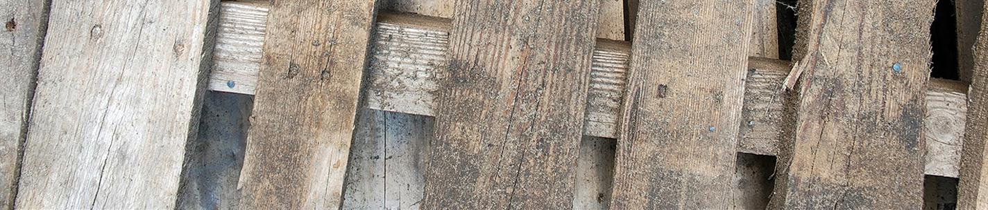 Sustainability Action Plan