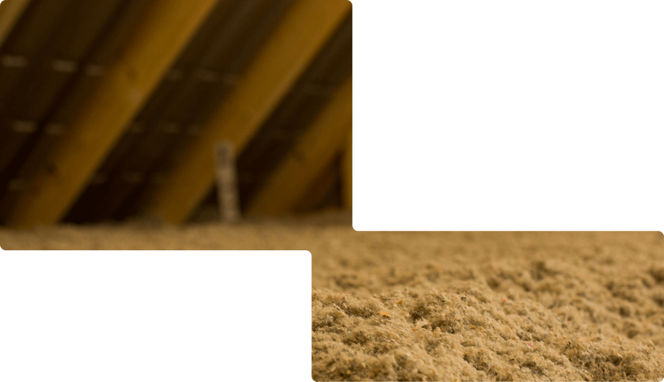 FiberFill - Hempitecture